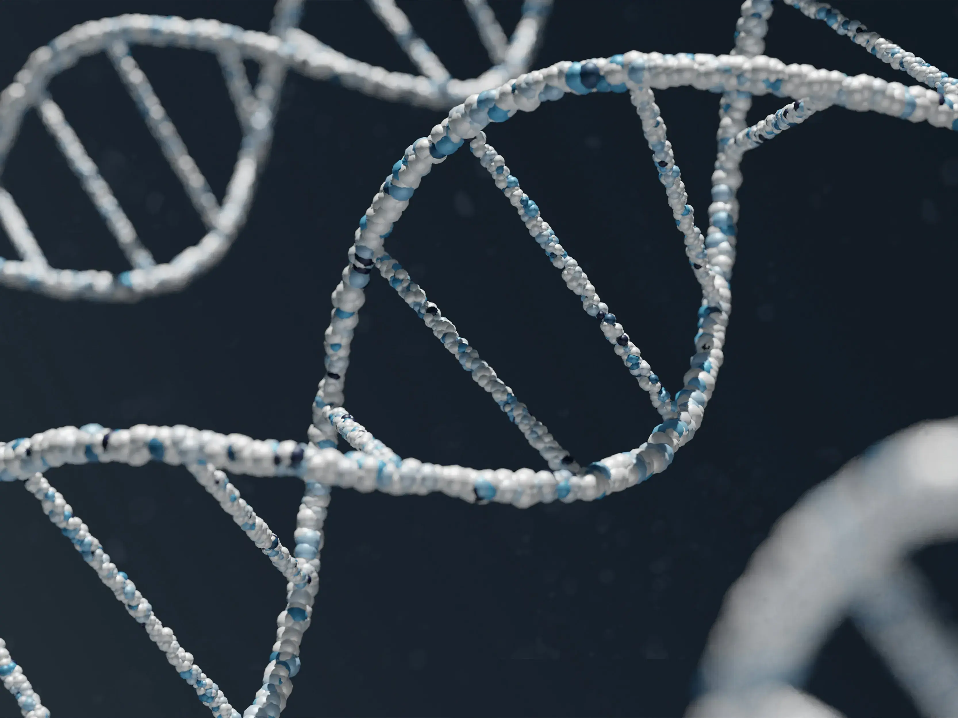 What is High Throughput Sequencing?